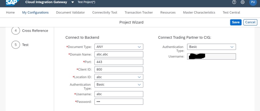 How to Configure SAP Ariba Cloud Integration Gateway (CIG) | Brainbox